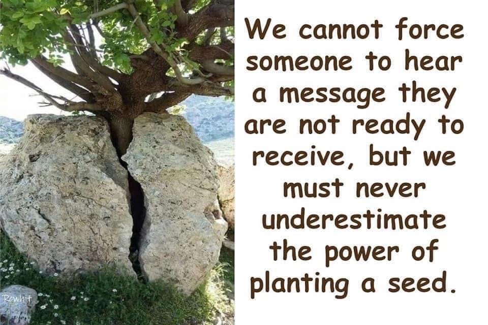 THE POWER OF PLANTING A SEED – Rick and Ellen's Notes